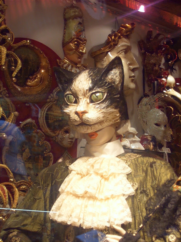 historicalculations chapter one – why do cats have nine lives? | ɹǝʇsǝɾ ...